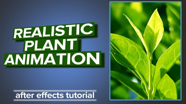 Plant Animation in After Effects Tutorials – CG Animation Tutorials ...