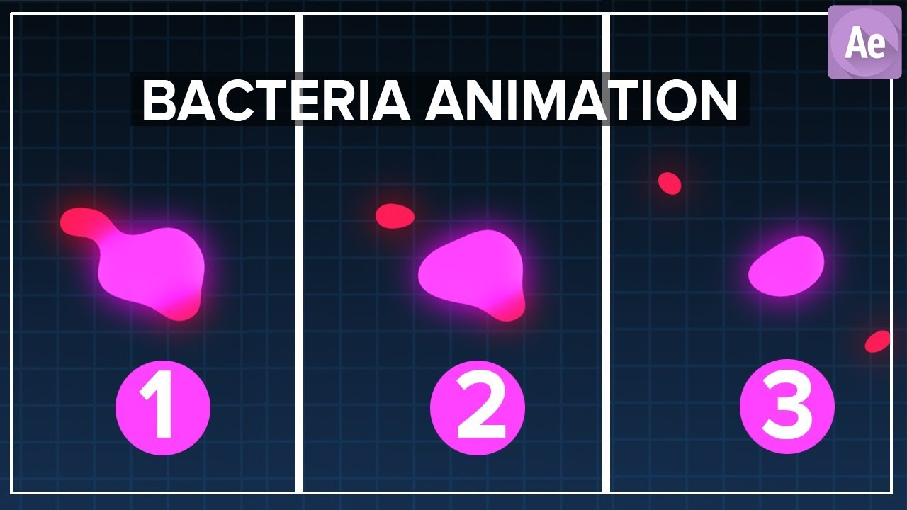 Bacteria Animation in After Effects Tutorial – CG Animation Tutorials / VOLTAGETUTORIALS.COM