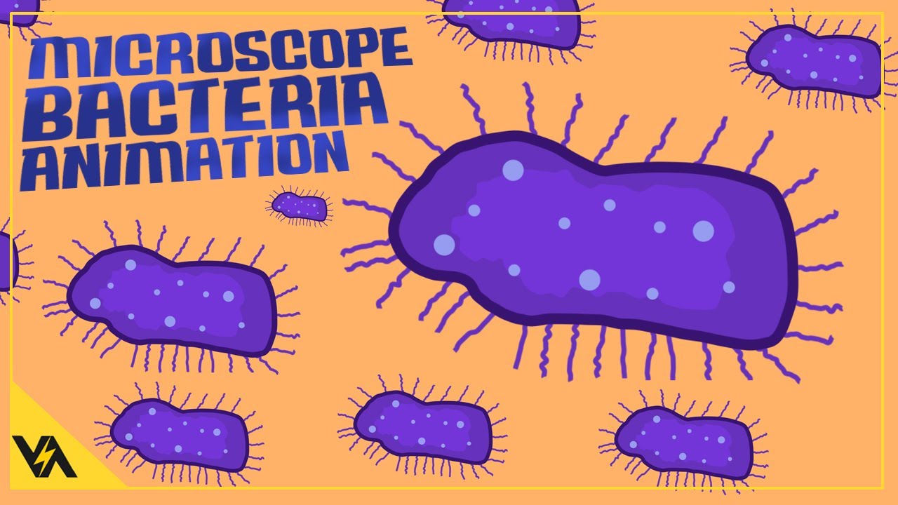 Microscope Bacteria Animation in After Effects Tutorial – CG Animation Tutorials ...