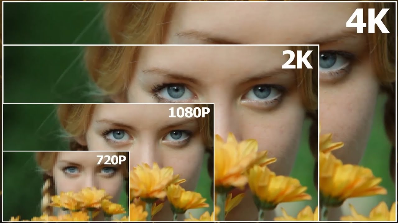 Improve Your Videos with AI Tools – 2K, 4K | VideoProc Converter AI Tutorial – CG Animation ...